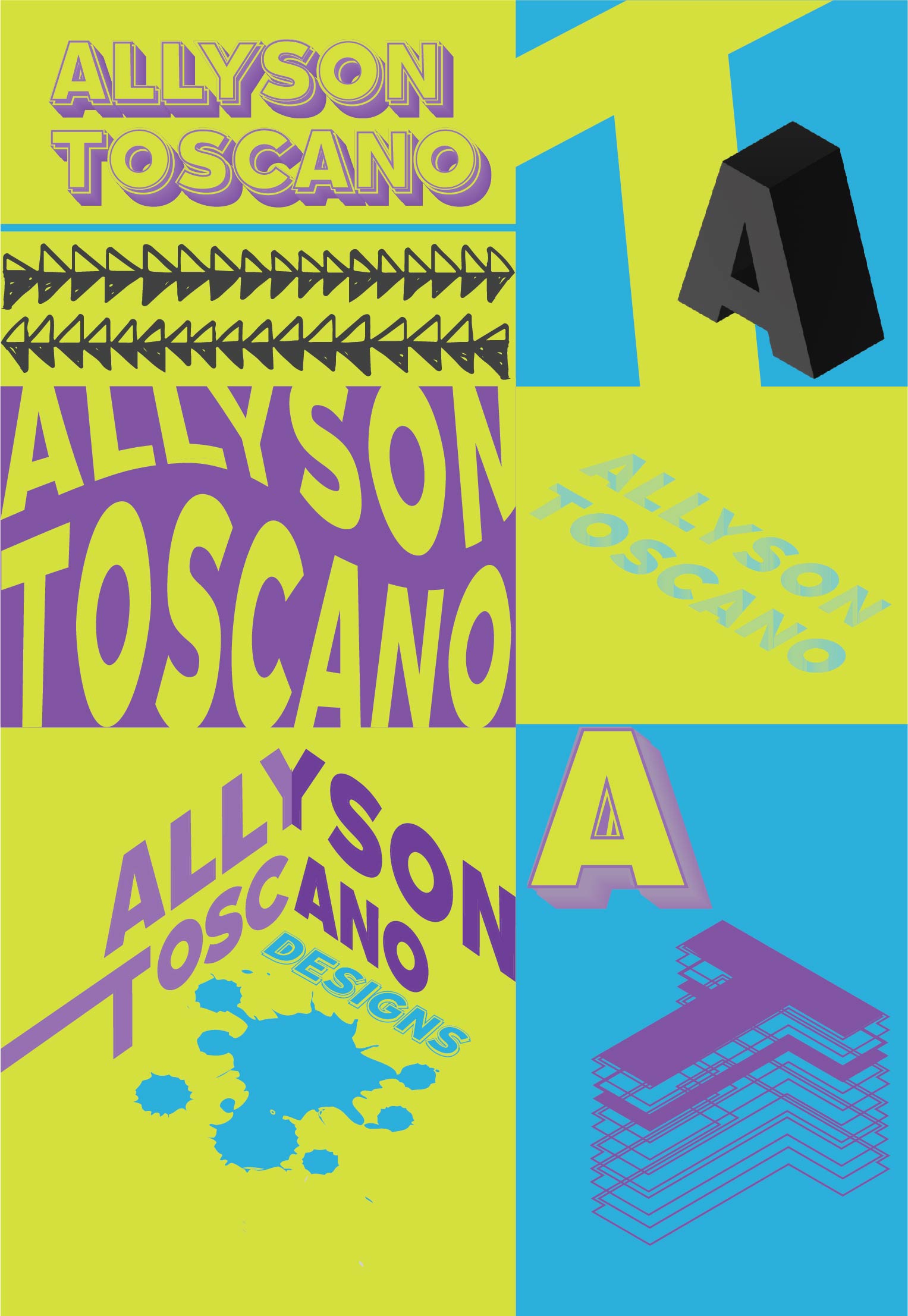 Allyson P Toscano – Portfolio